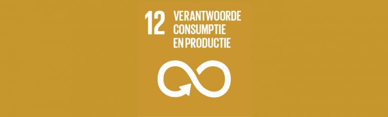 SDG uitleg over de 17 Sustainable Development Goals | SUB